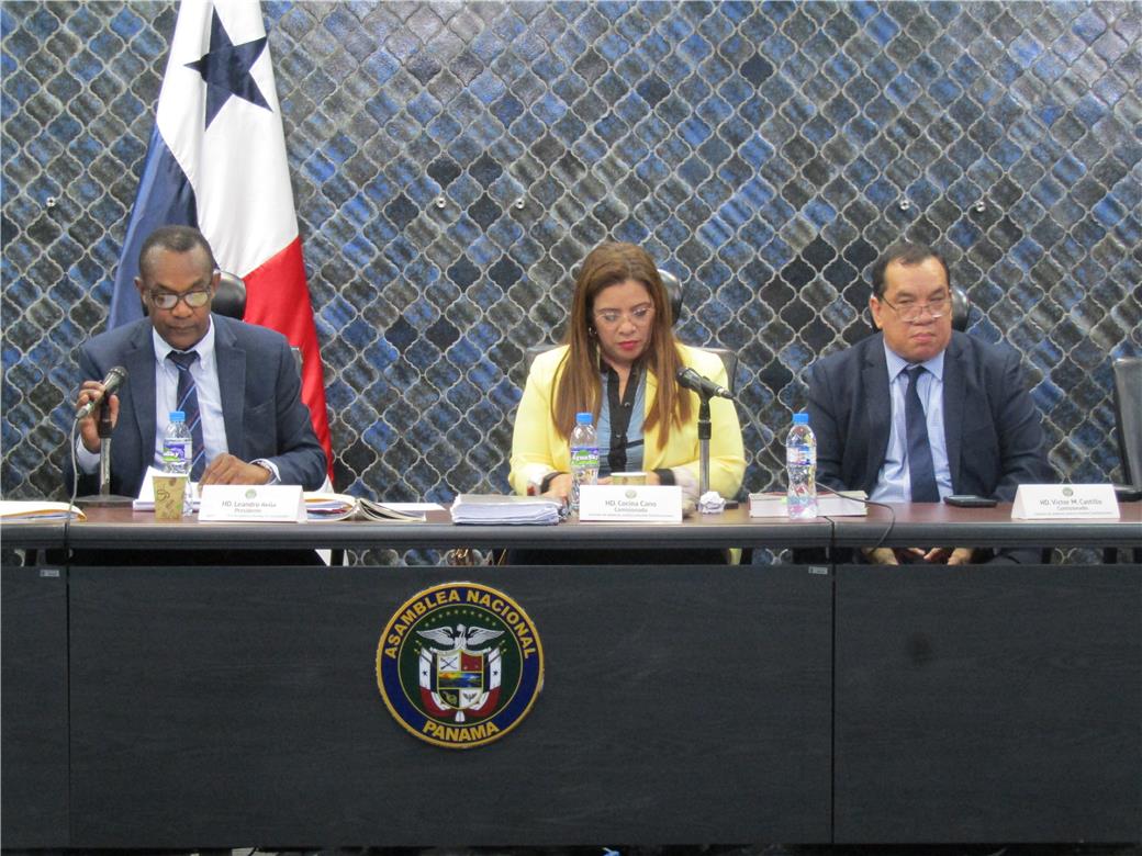 Órgano Judicial Órgano Judicial